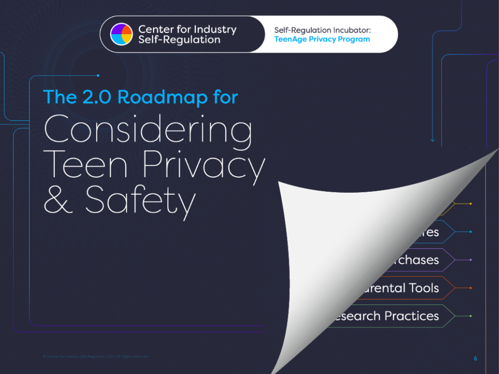 TeenAge Privacy Program (TAPP) Roadmap